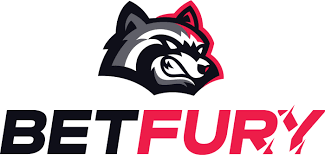 Sports Betting Canada: Top Canadian Sportsbooks Online (2024)